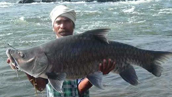 Kaveri River, Karnataka